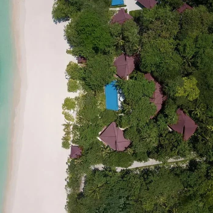 Top Island Luxury Resorts with Private Pools in the Philippines ...